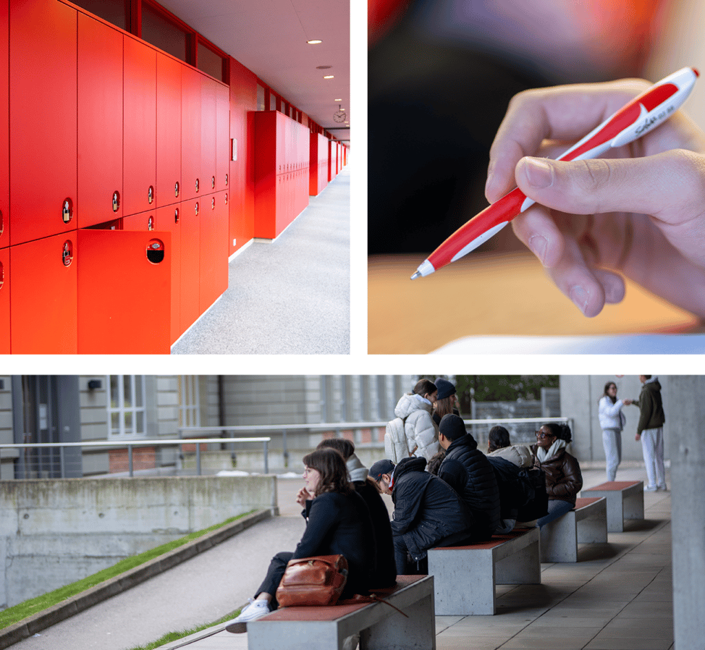 Vorstellung | ECGF - FMSF